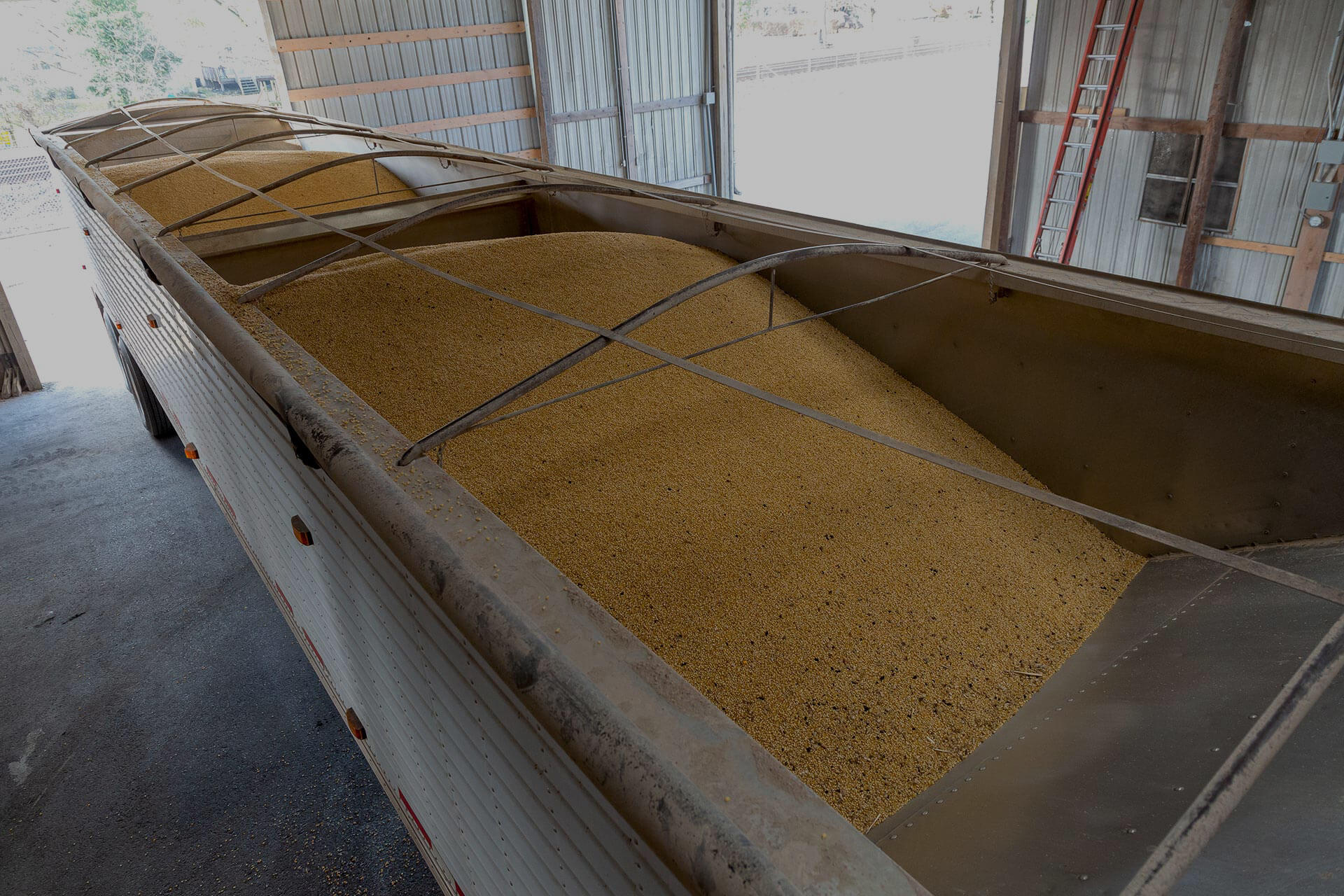 Grain Cleaning - Reist Transloading